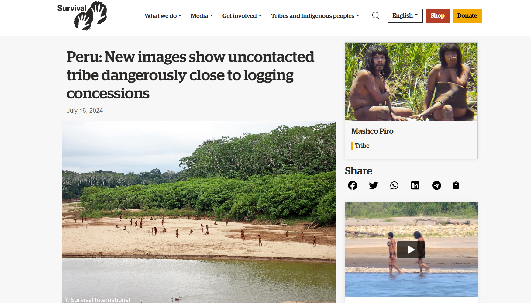 Survival International hat seltene Bilder von Mitgliedern des wild lebenden indigenen Stammes ...